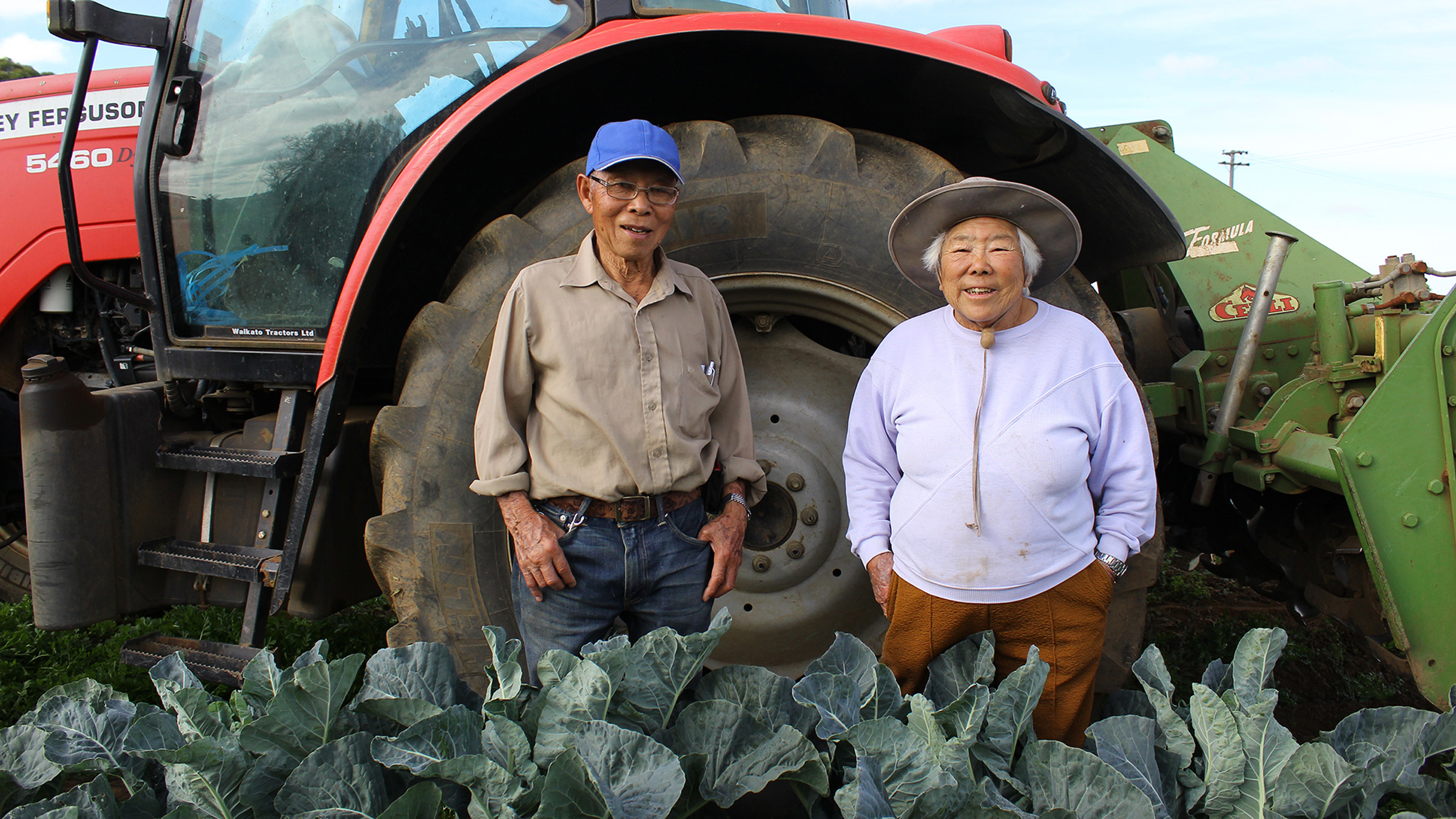 How Mr and Mrs Gock Saved the Kumara by Felicity Morgan-Rhind and Arani ...